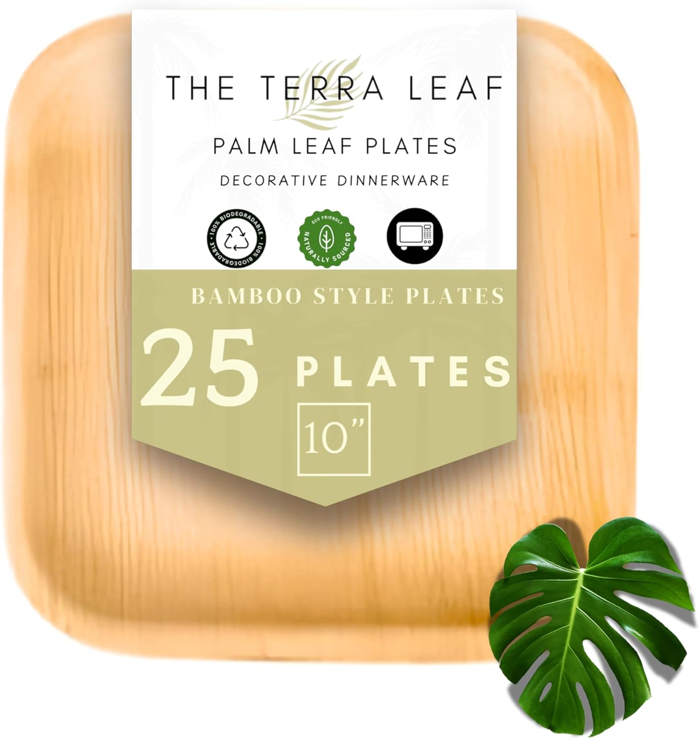 Amazon.com: Palm Leaf Plates 10 Inch (25 Pieces) Square Disposable ...