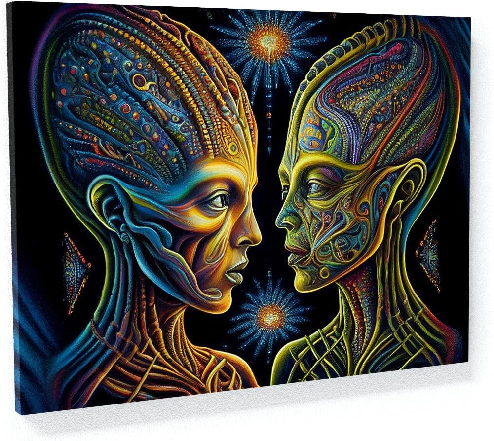Amazon.com: Sense Canvas Dmt Trippy Aliens 105 Canvas Art - Home Decor ...