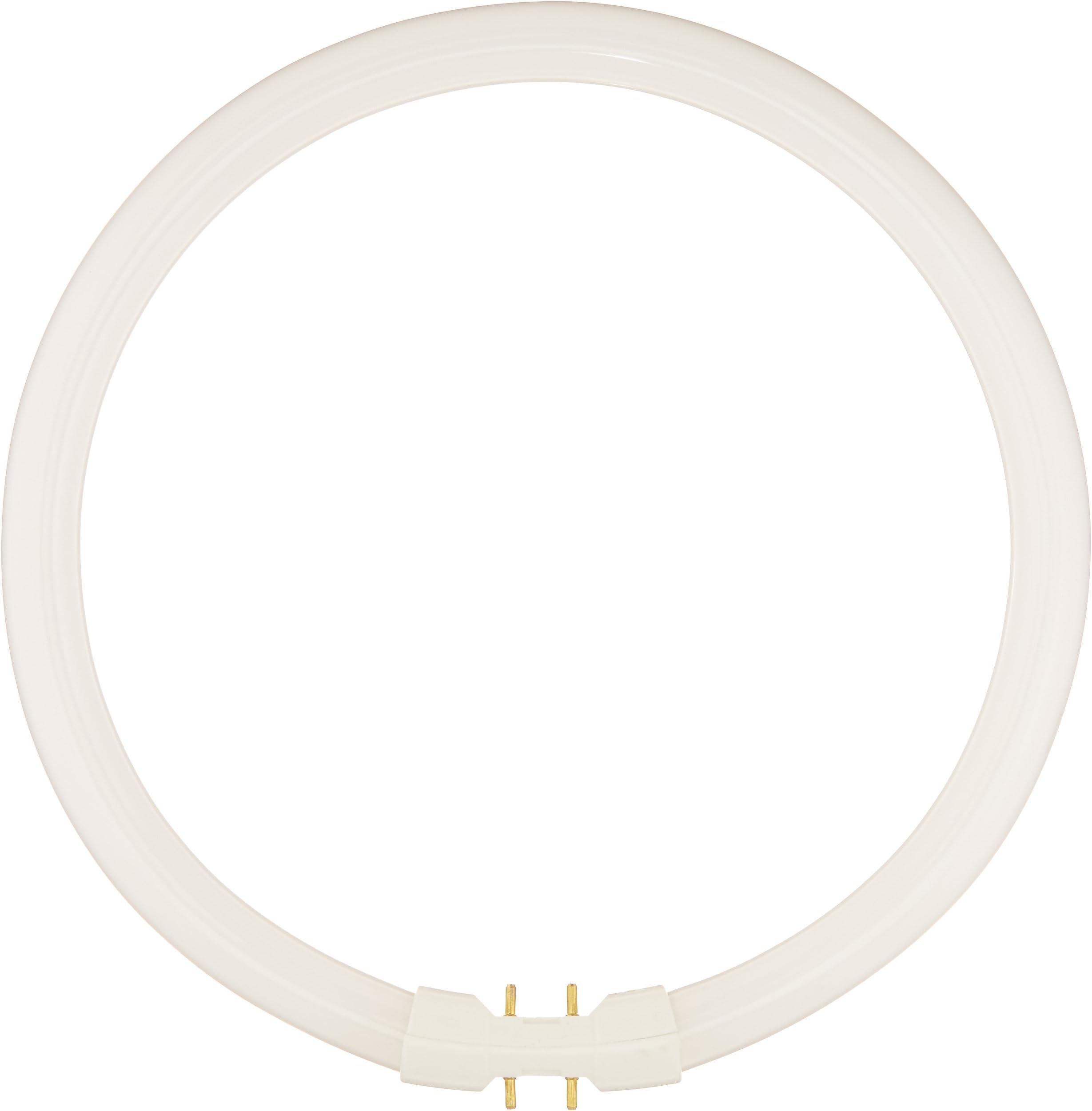 Ciata Lighting FC40T5 835 40-Watt Circline Fluorescent T5 Bulb, 800 ...