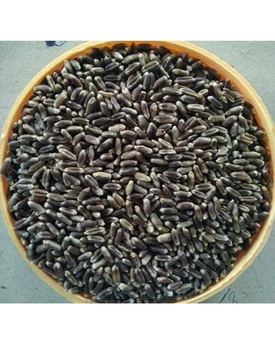 Josan Brothers Organic Farm Natural Black Wheat Seeds for Farming and ...