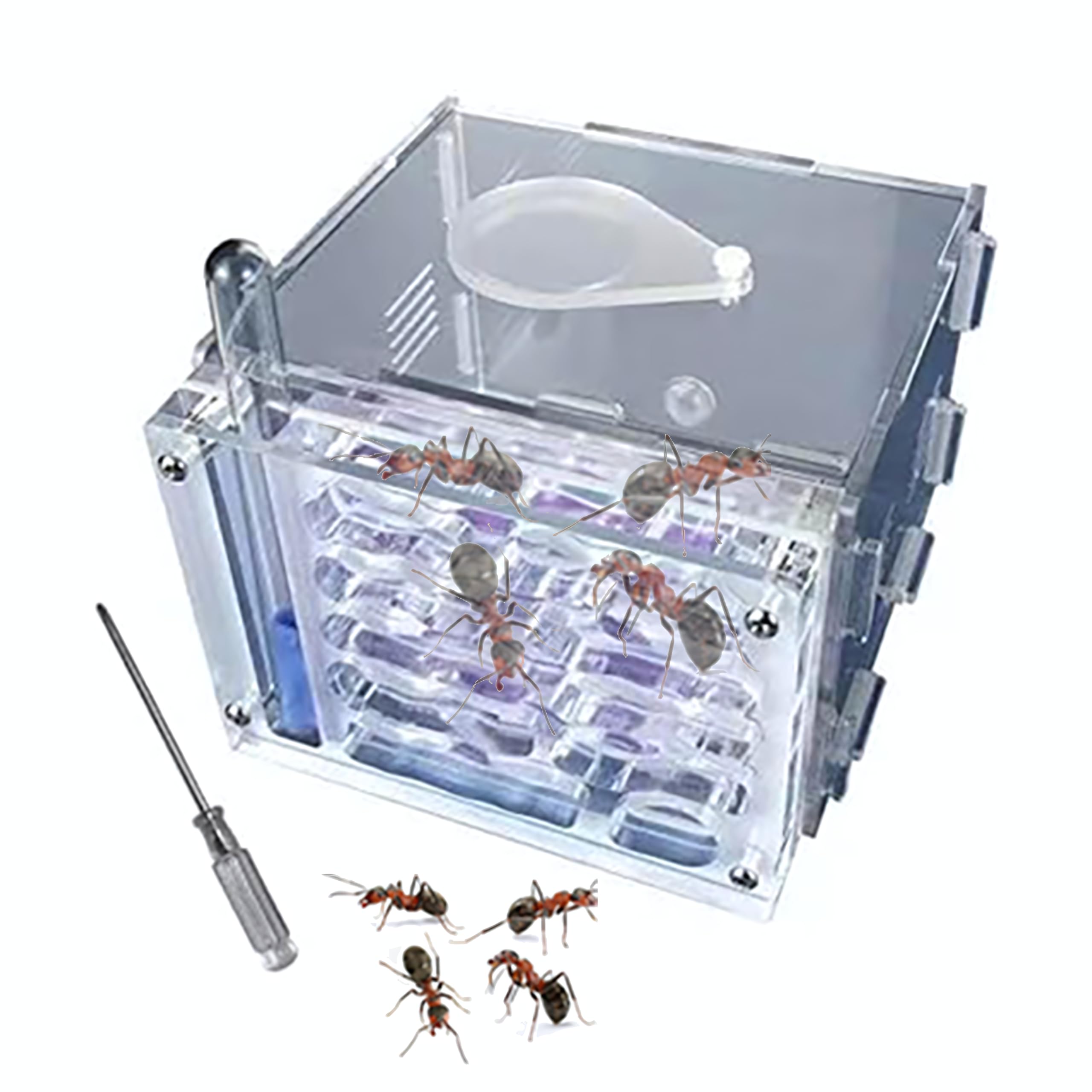 Amazon.com: Ant Farm Acrylic Nest Area Kit for Kids and Amateur, with ...