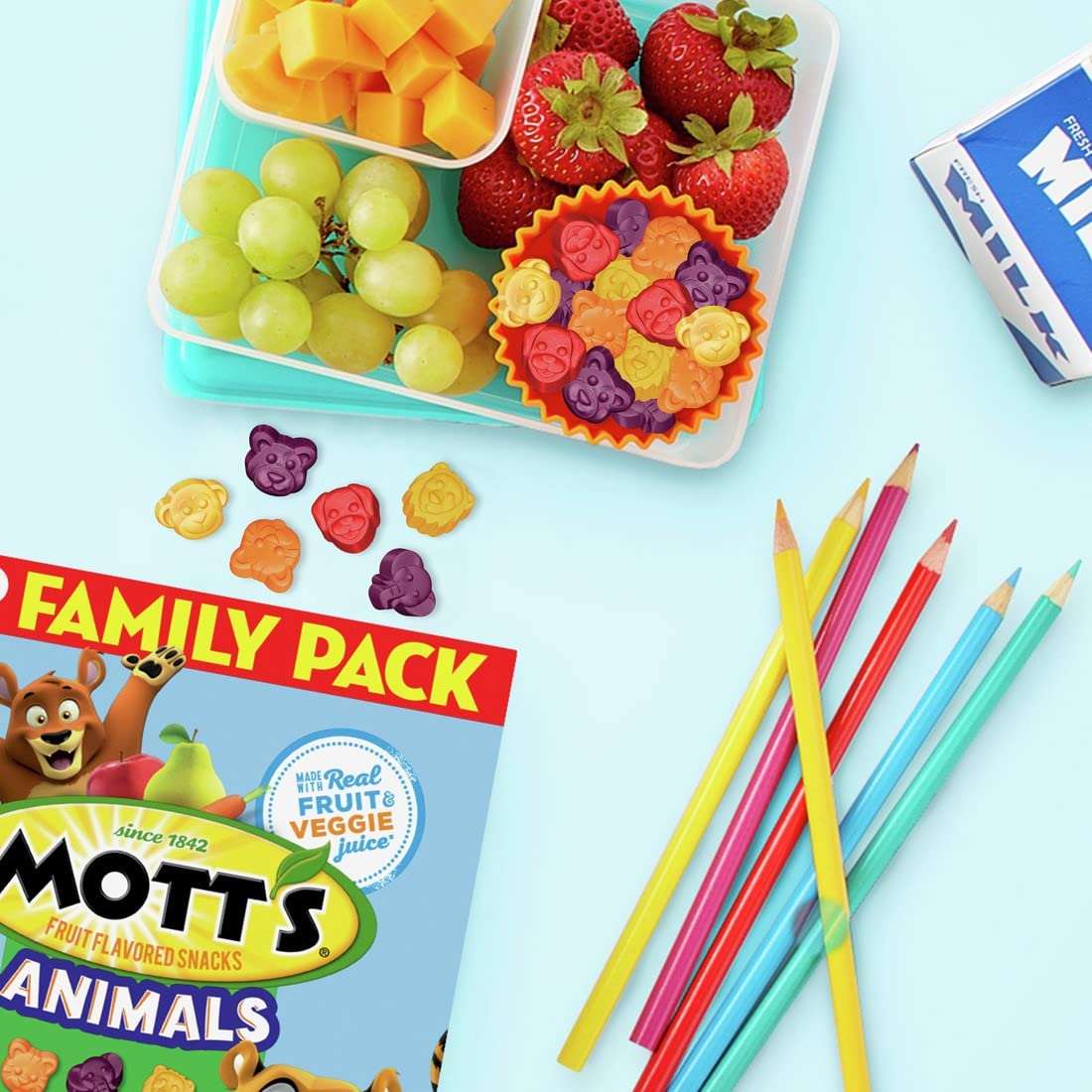 Snapklik.com : Motts Fruit Flavored Snacks, Easter Basket Stuffers ...