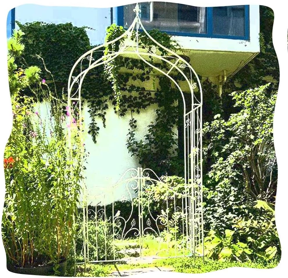 Amazon.com: HCZION Garden Arch with Door Rose Arch Iron Garden Arch ...