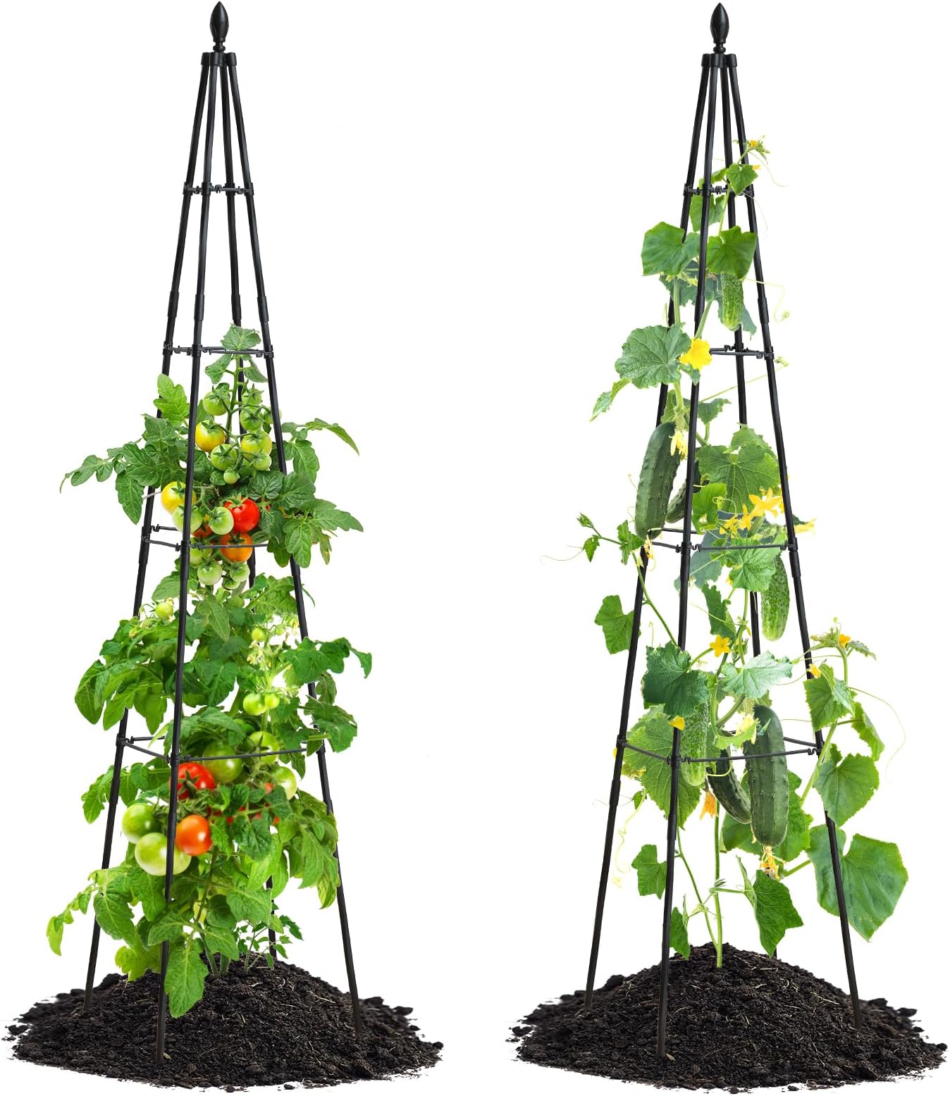 Amazon.com : Master Garden Products Willow Round Teepee Trellis, 48 ...