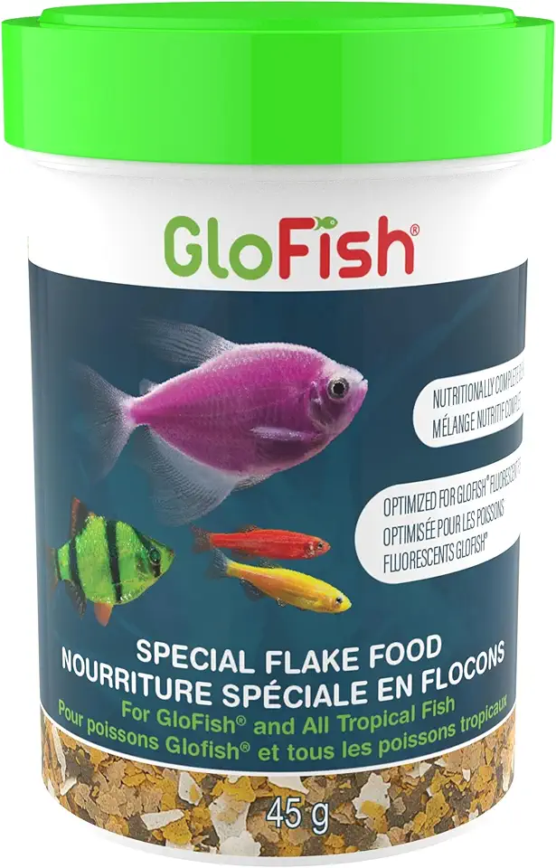 Finding The Perfect Tankmates: What Fish Can Go With Glofish | PetShun