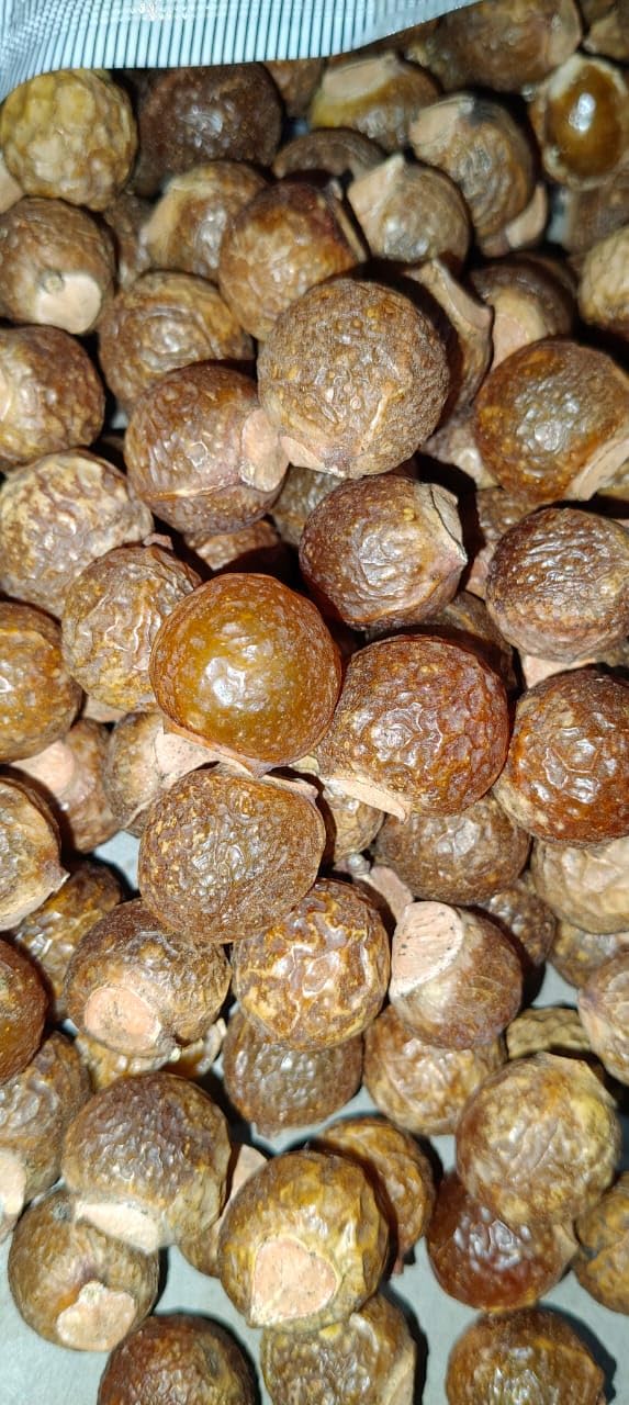 SFT Reetha Dried (Ritha) 1 Kg : Amazon.in: Beauty