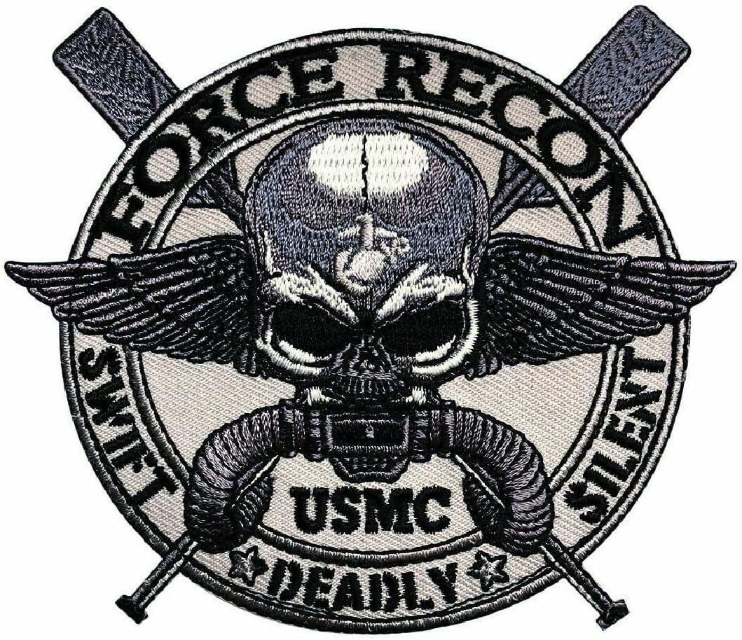 Amazon.com: Bayonet Design - Reconnaissance Patch - Large Novelty 5 5/8 ...