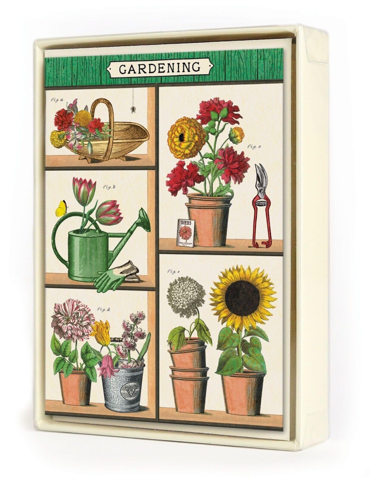 Amazon.com : Cavallini & Co. Gardening Boxed Note Cards : Office Products