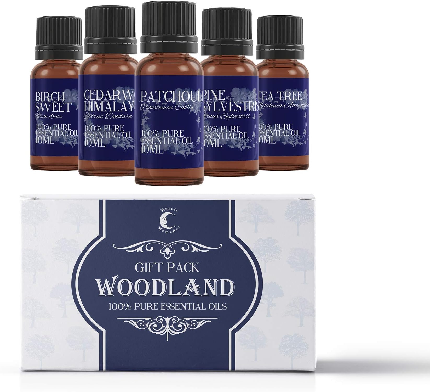 Mystic Moments | Essential Oil Starter Pack In Wooden Gift Box - 24 x ...