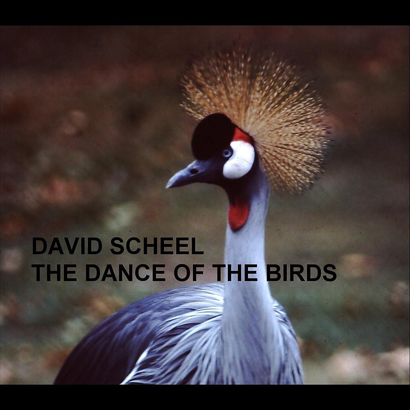 David Scheel - Dance of the Birds | Amazon.com.au | Music