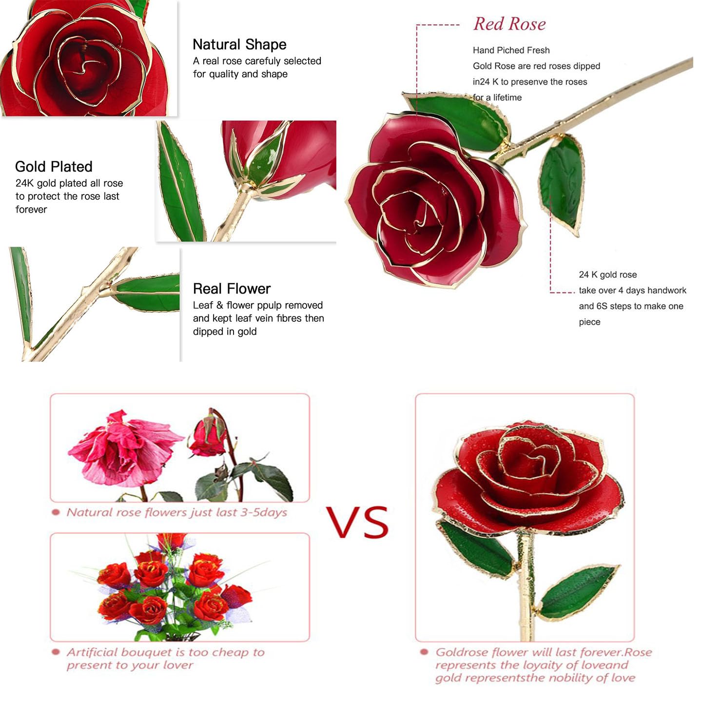 Fccla Rose