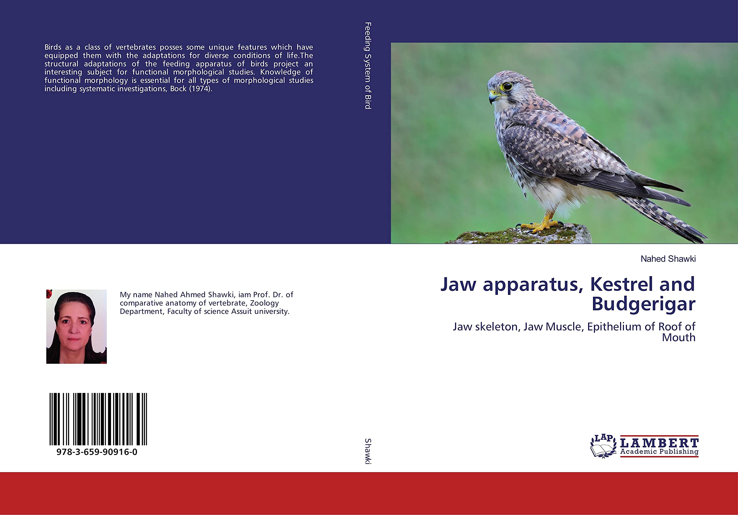 Buy Jaw apparatus, Kestrel and Budgerigar: Jaw skeleton, Jaw Muscle ...