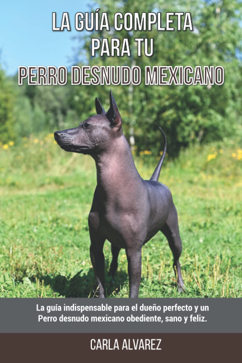La Guia Completa Para Tu Perro Desnudo Mexicano La Guia | Desertcart ...