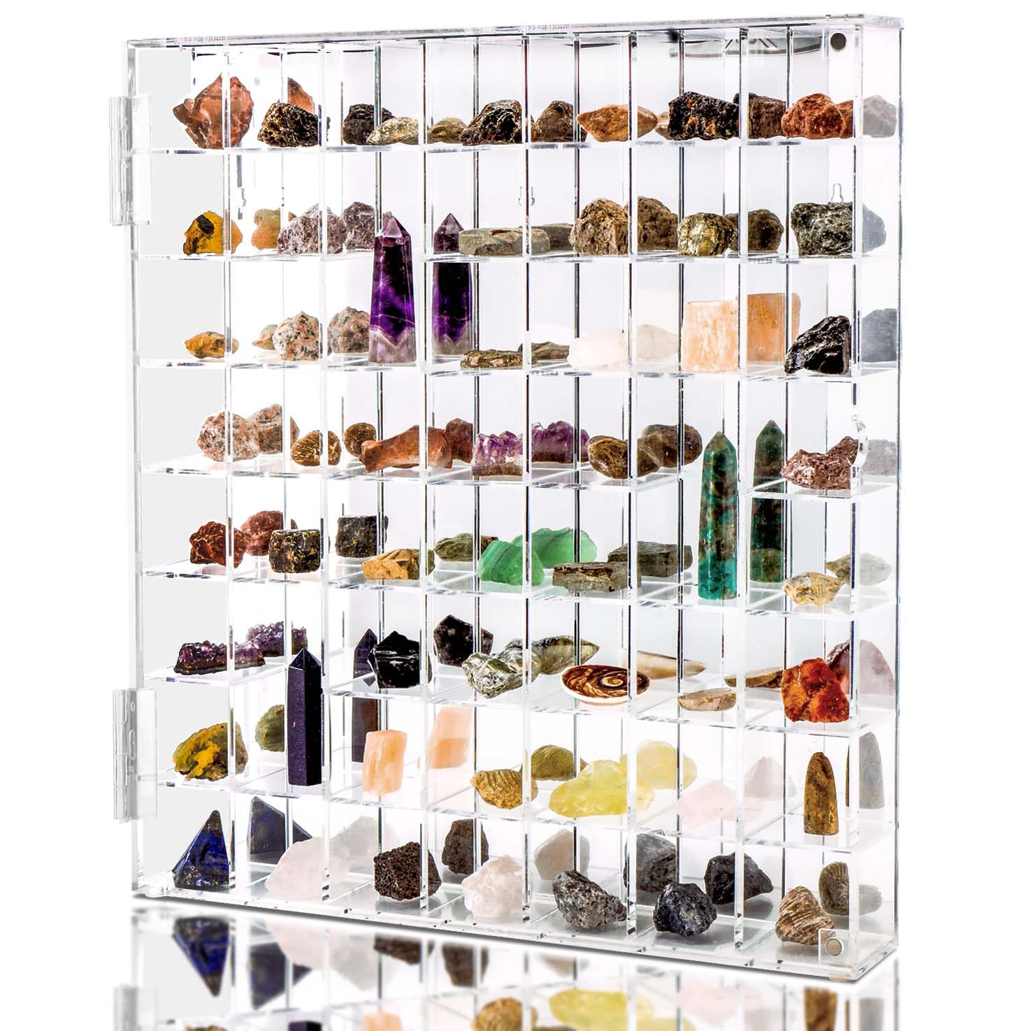 Amazon.com: Adjustable Seashell Display Case Box Large Rock Fossil ...