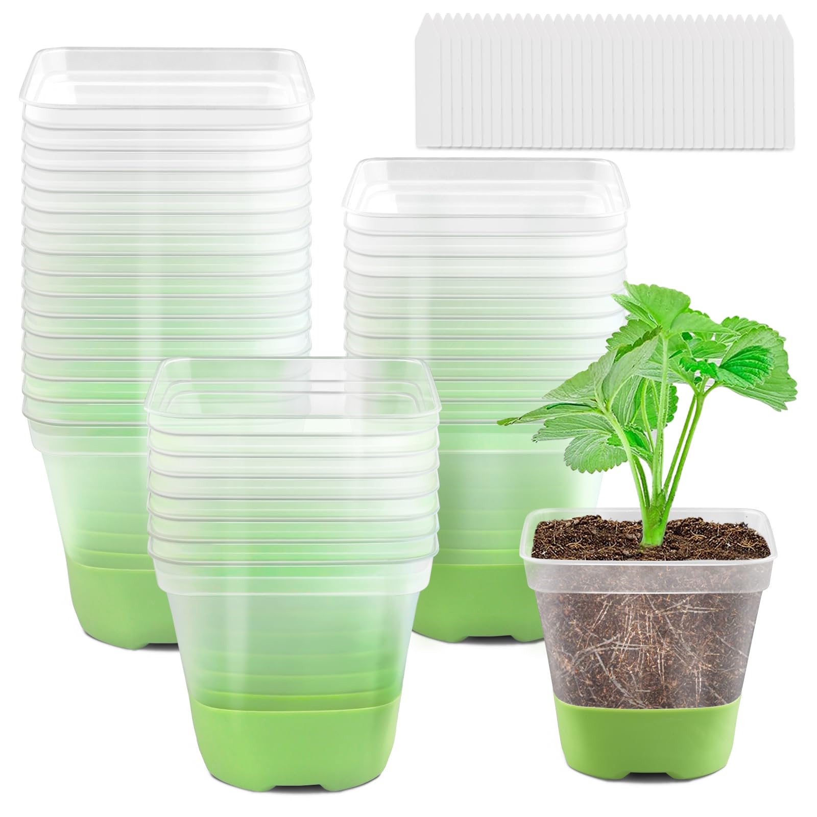 Amazon.com: GOONMILL 36 Packs 3 Inch Square Plastic Nursery Pots, Clear ...