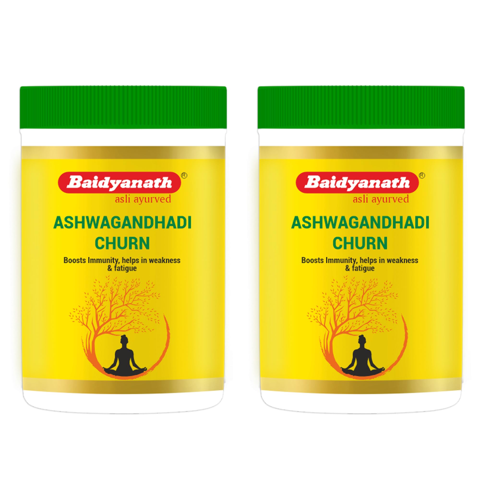 Baidyanath Ashwagandhadi Churna - Made with Ayurvedic Herbs to Combat ...