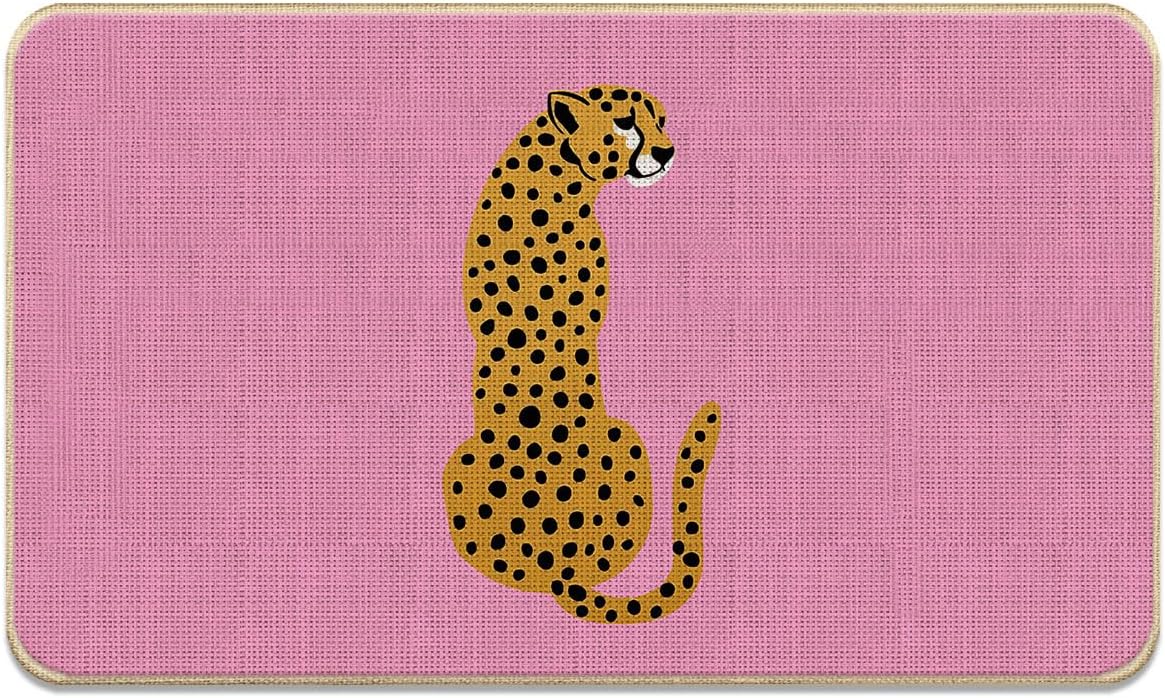 Amazon.com: DOTAIN Pink Cheetah Leopard Welcome Mat - Preppy Teen Girls ...