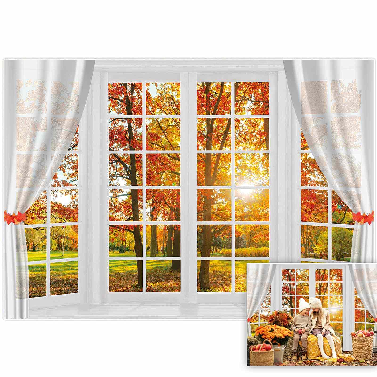 Buy Allenjoy Autumn Tree Window Backdrop Fall Forest Scene Natural ...