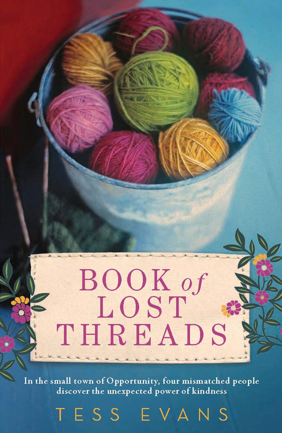 Book of Lost Threads - Kindle edition by Evans, Tess. Literature ...