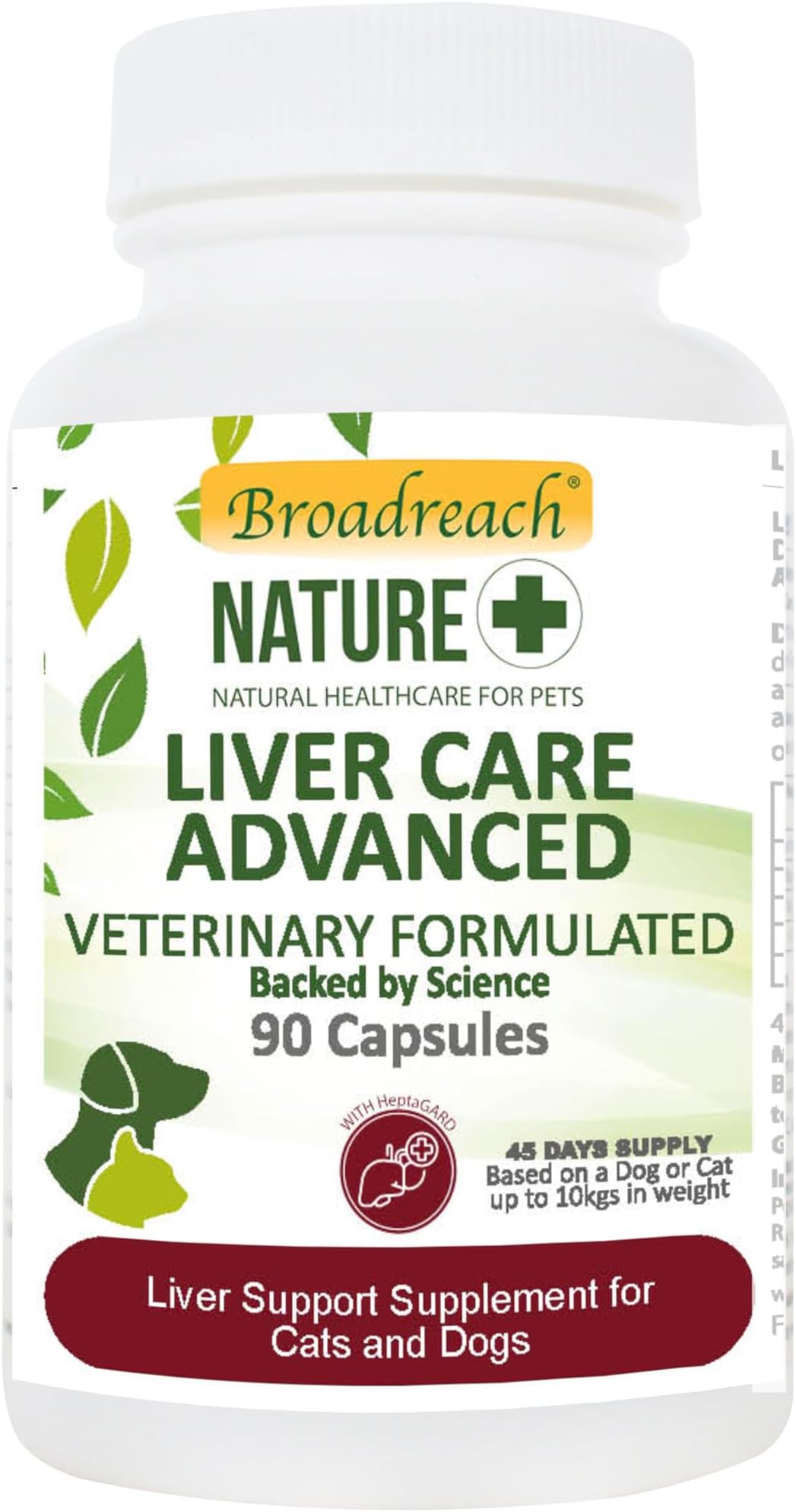 Hepatosyl Liver Function Capsules 90 x 100mg : Amazon.co.uk: Pet Supplies