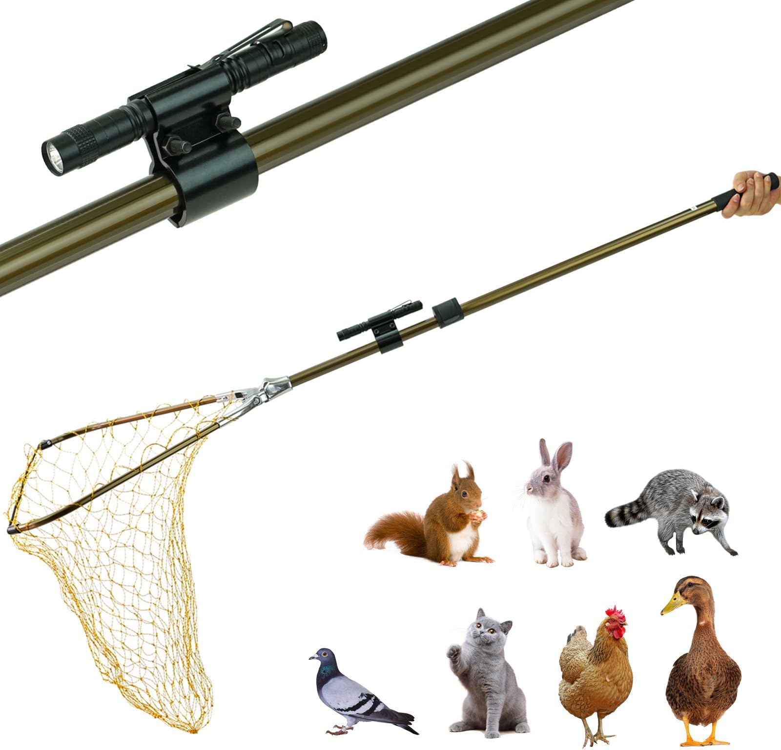 Amazon.com : Animal Catch Net, Poultry Catching Control Pole, Farm Trap ...