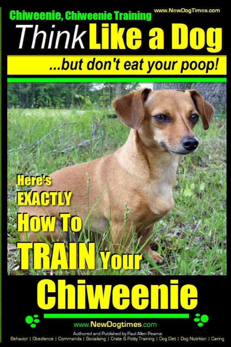 Chiweenie, Chiweenie Training AAA AKC Think Like a Dog...but Don't Eat ...