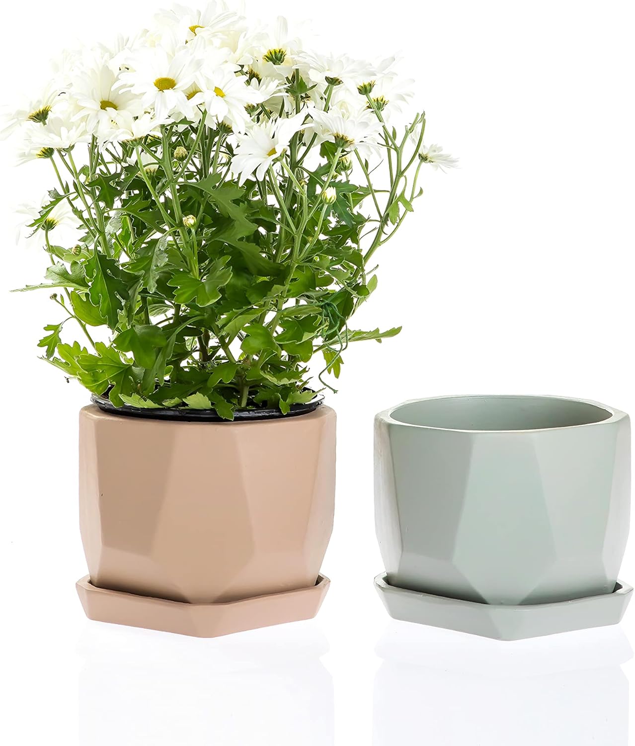 Amazon.com: Polygon Ceramic Pots for Plant (7"x5.5") Ceramic Bowl l ...