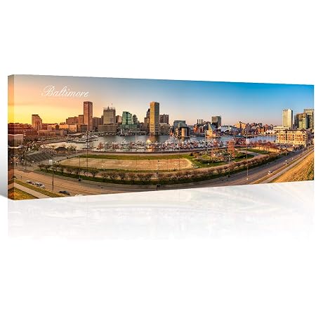 Amazon.com: Baltimore Inner Harbor Skyline 2020 Photo Print UNFRAMED ...