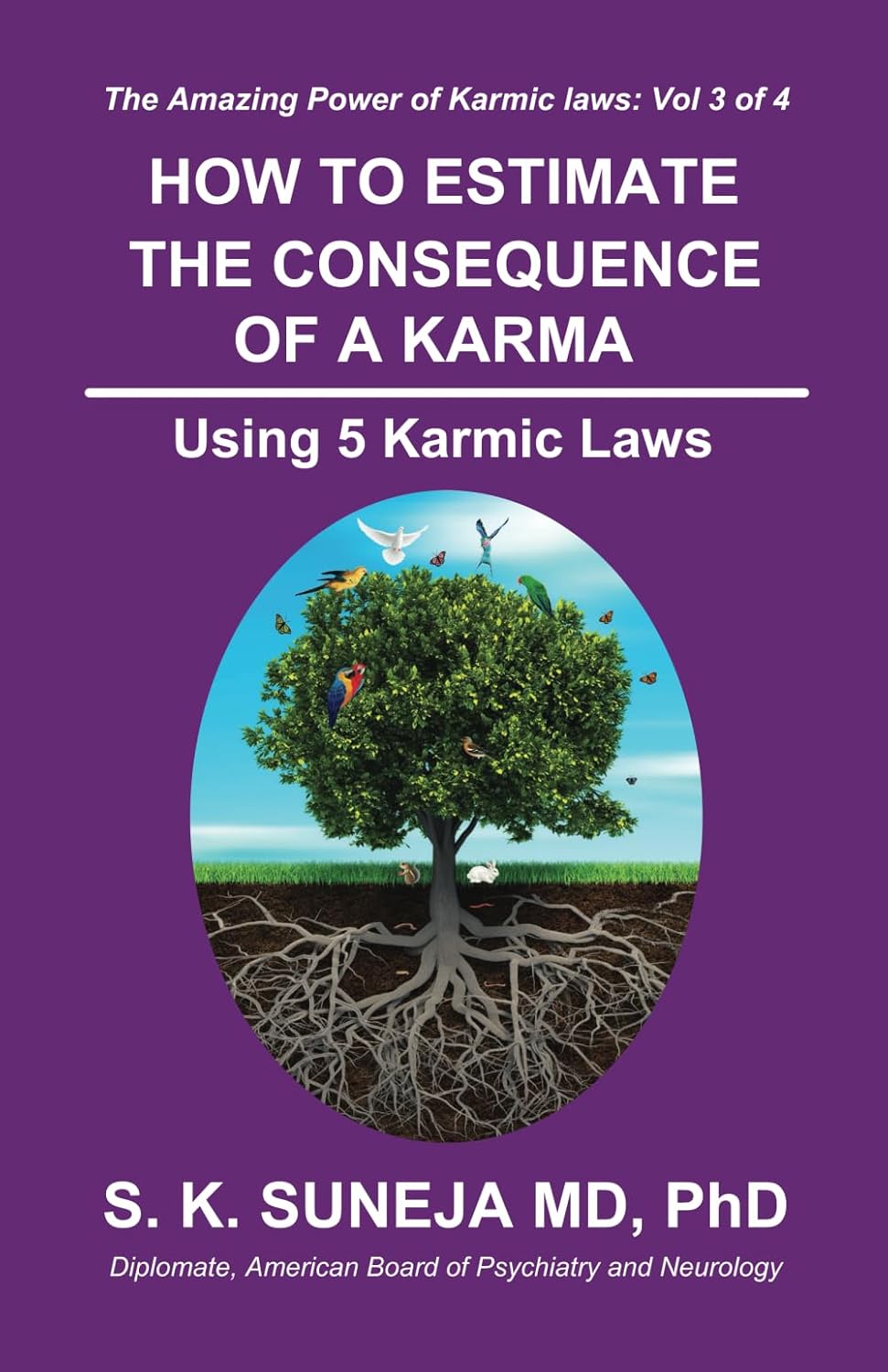 Amazon.com: How to Estimate the Consequence of a Karma Using 5 Karmic ...