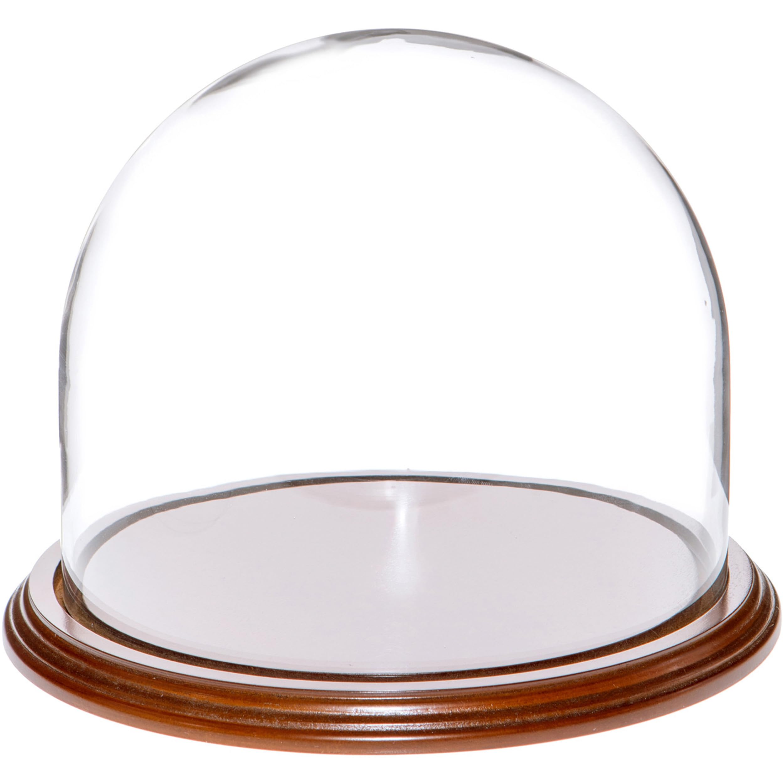 Amazon.com: Plymor 8" x 6.5" Glass Display Dome Cloche (Walnut Veneer ...