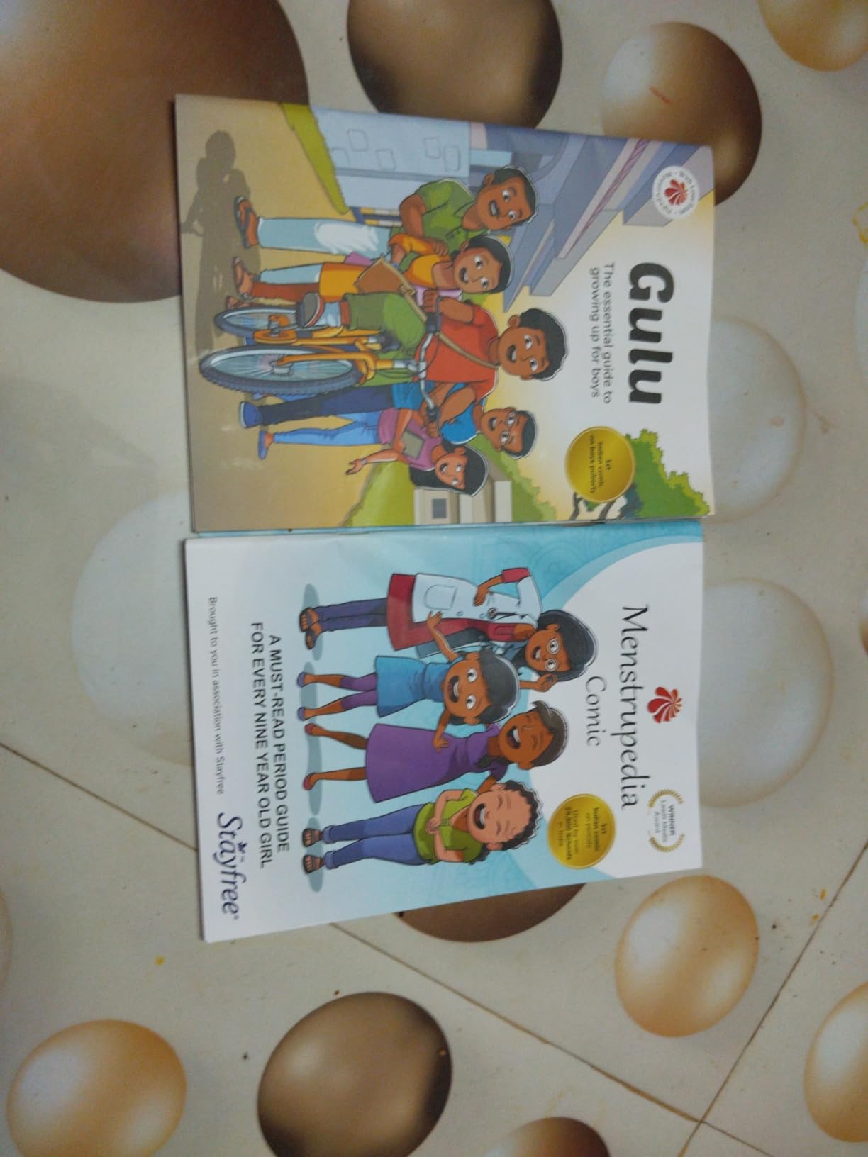 Buy (Set of 2 Books) - (Menstrupedia Comic For Girls + Gulu Comic for ...