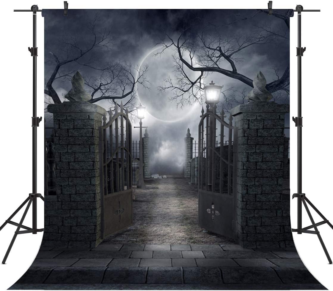 Amazon.com : LFEEY 10x8ft Creepy Cemetery Backdrop Gothic Style ...