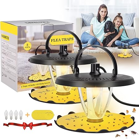Amazon.com : Flea Trap for Inside Your Home(2 Packs), Natural Flea ...