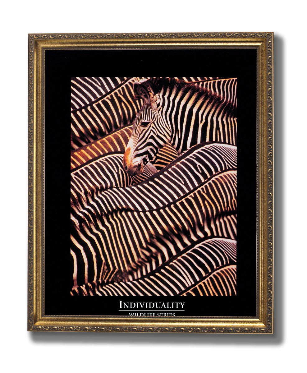 Individuality Art