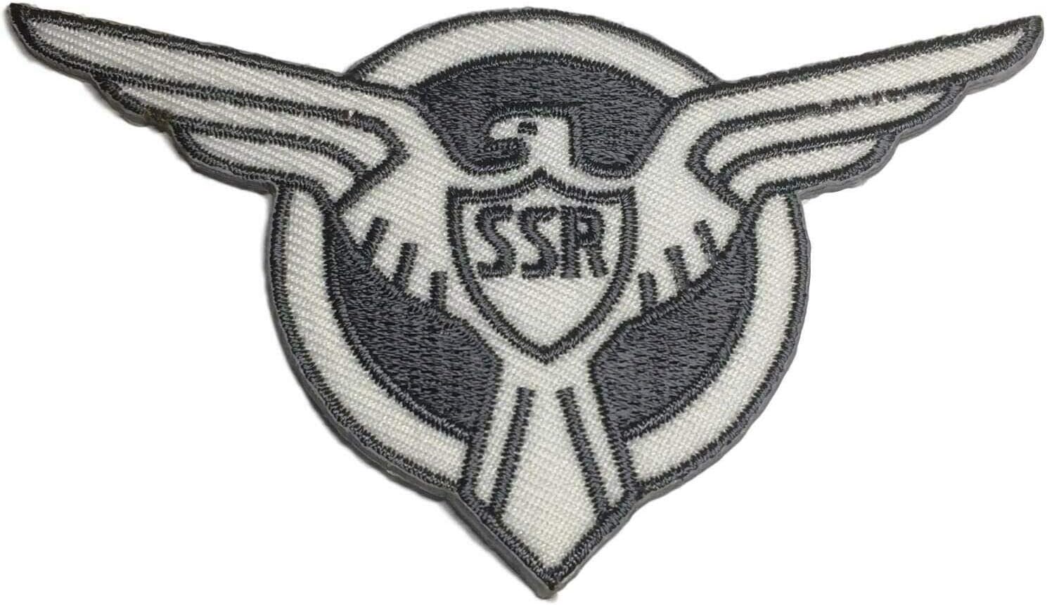Amazon.com: Agent Carter SSR Logo Embroidered 4" Wide Iron on Patch ...