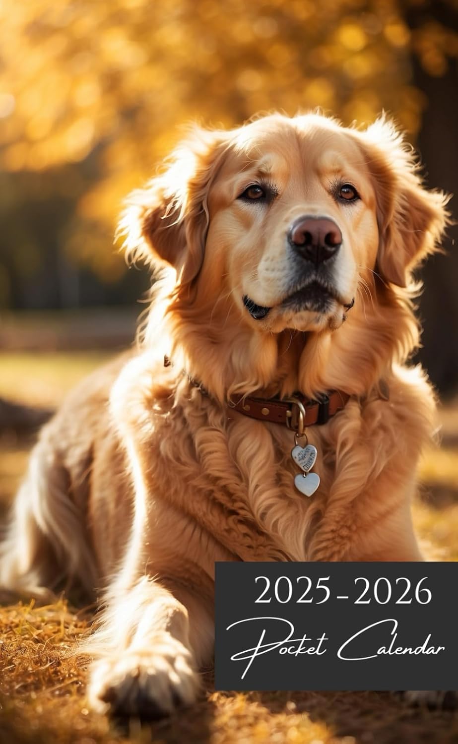 Amazon.com: Pocket Calendar 2025-2026: for Purse Small Size Monthly ...