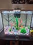 Interpet Aqua Cube Glass Fish Tank Aquarium with Integrated LED ...