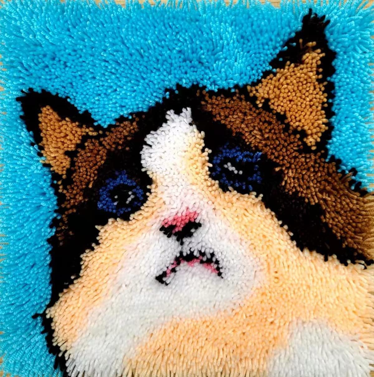 Amazon.com: clubevy Latch Hook Rug Set Rugs,Cat Latch Hook Rug Cross ...