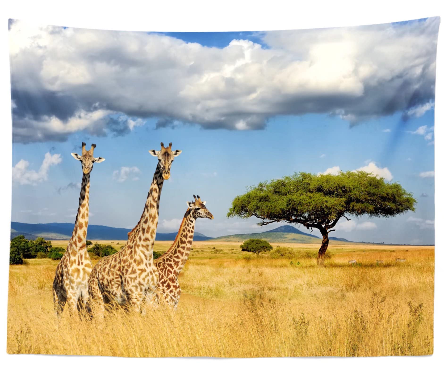 Nature Scenery With Animals