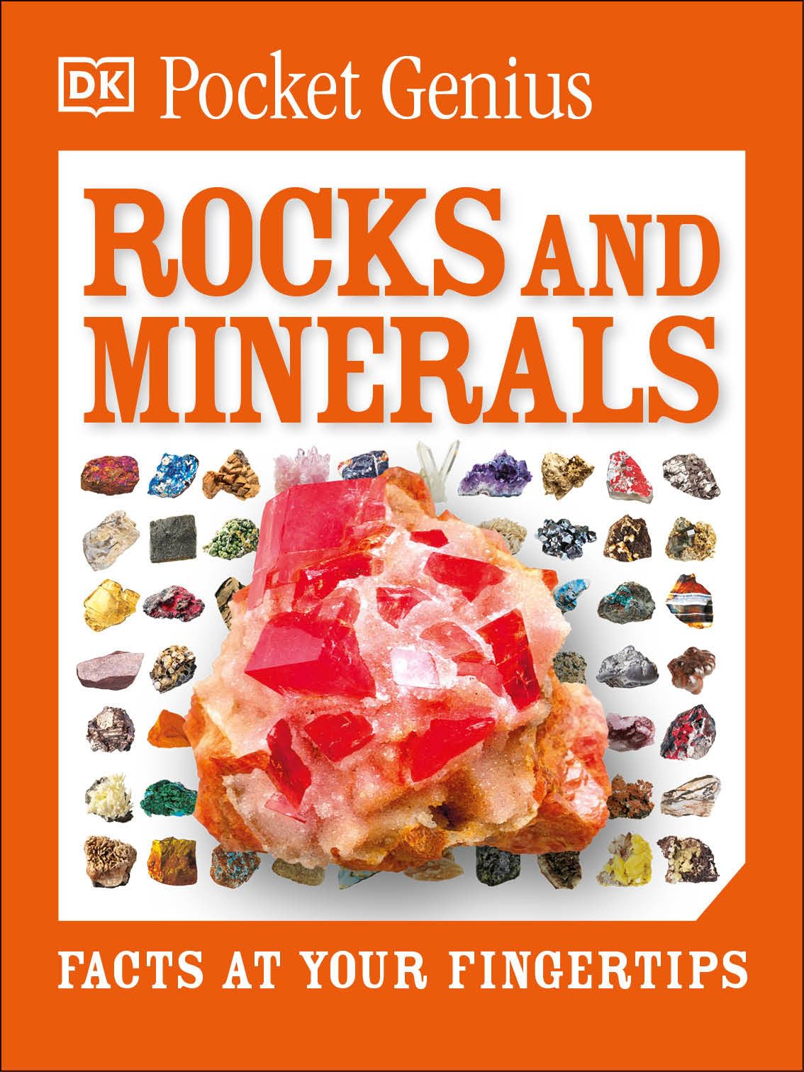 Snapklik.com : Pocket Genius: Rocks And Minerals: Facts At Your Fingertips