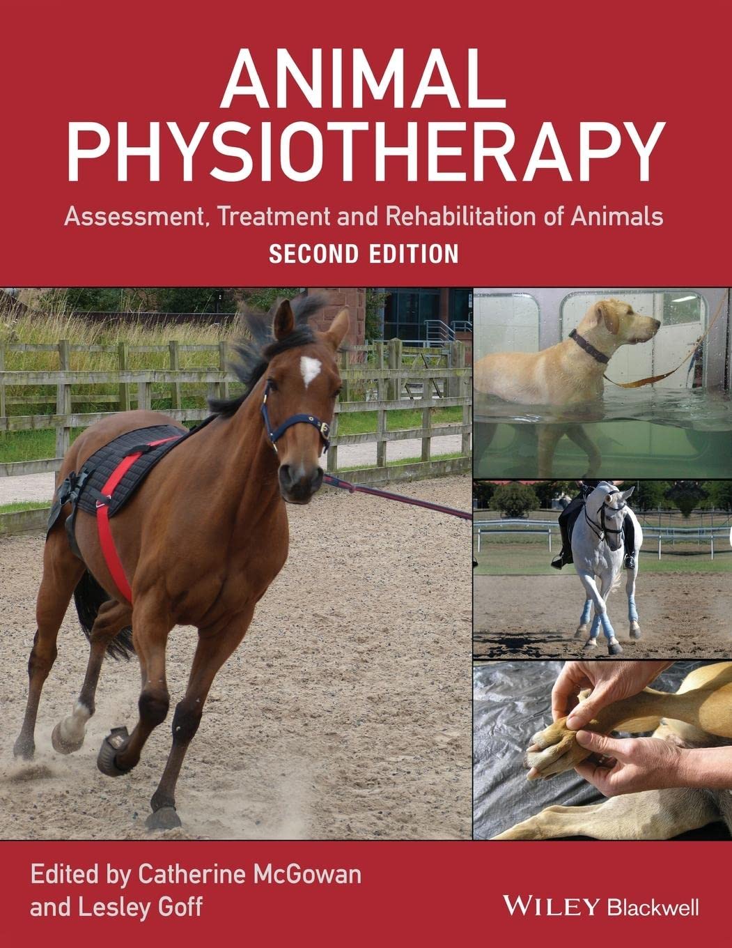 Animal Physiotherapy: Assessment, Treatment and Rehabilitation of ...