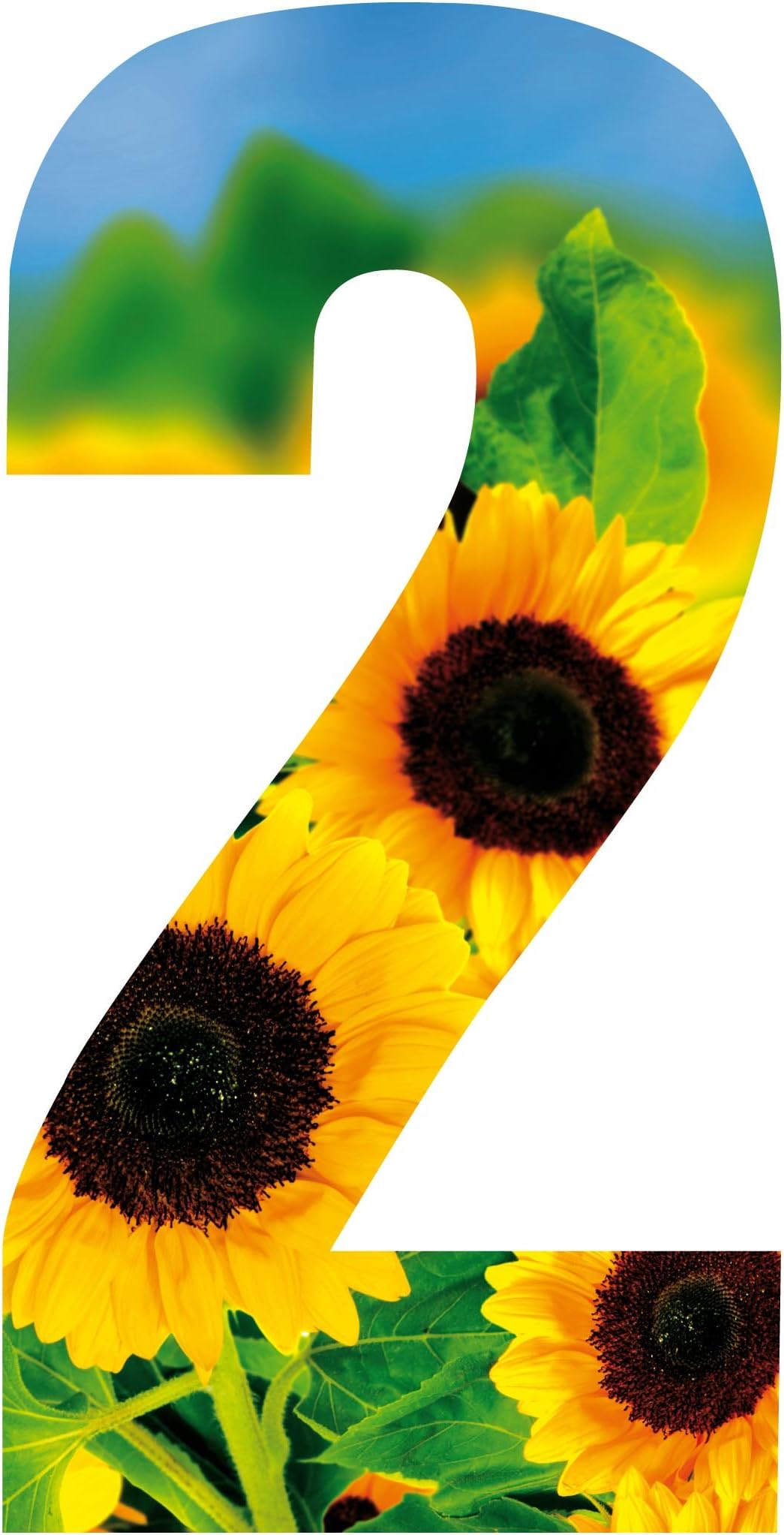 WHL Pack of 3 Wheelie Bin House Numbers - Sunflower Number 2 : Amazon ...