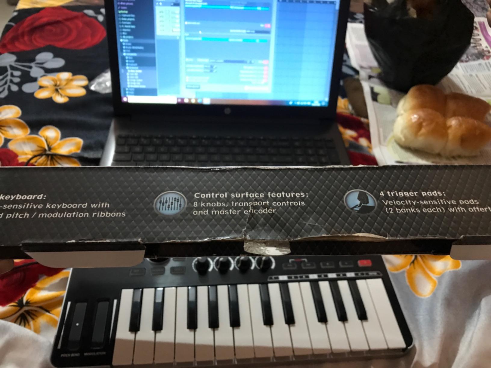 Samson Graphite M25 Mini USB MIDI Controller : Samson Audio: Amazon.in ...