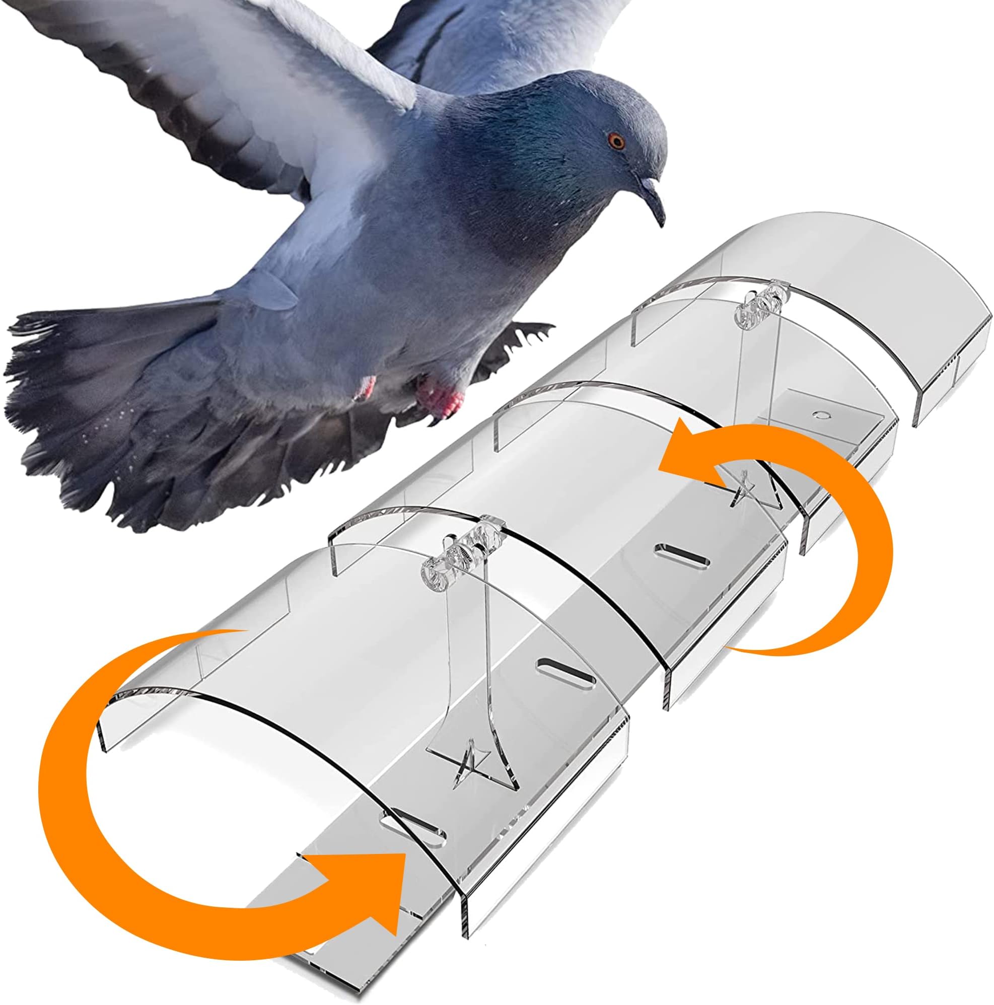 Amazon.com : Bird B Gone MMYARD Solar Yard Shield Ultrasonic/Sonic Bird ...