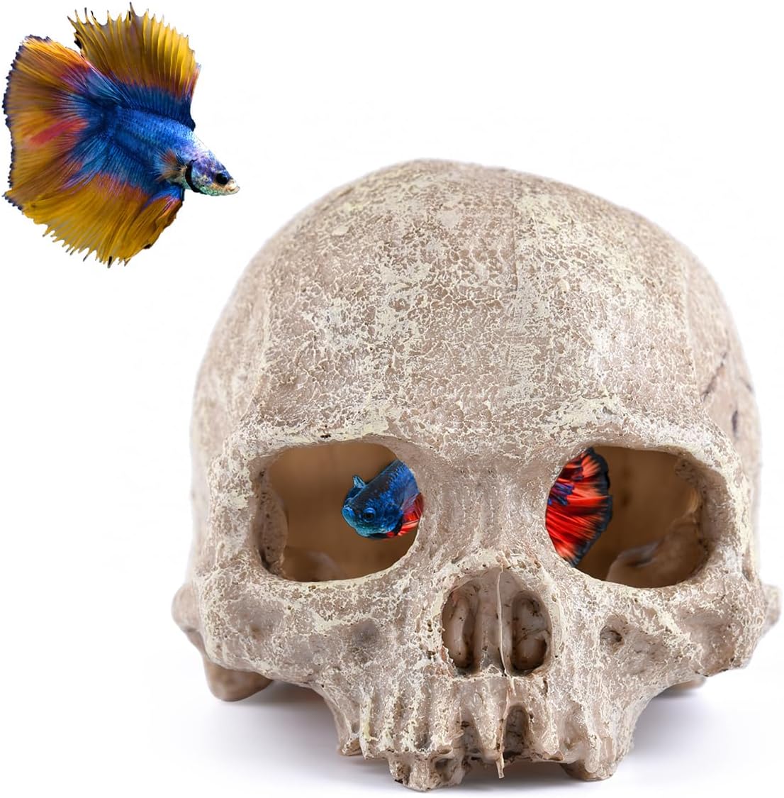 Amazon.com : Carefree Fish Aquarium Decoration Skull Fish Tank Head ...