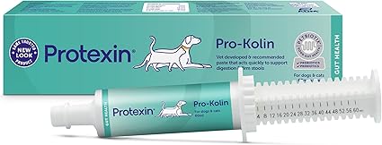 Protexin Pro-Kolin – Probiotic & Prebiotic Digestive Support Paste for ...