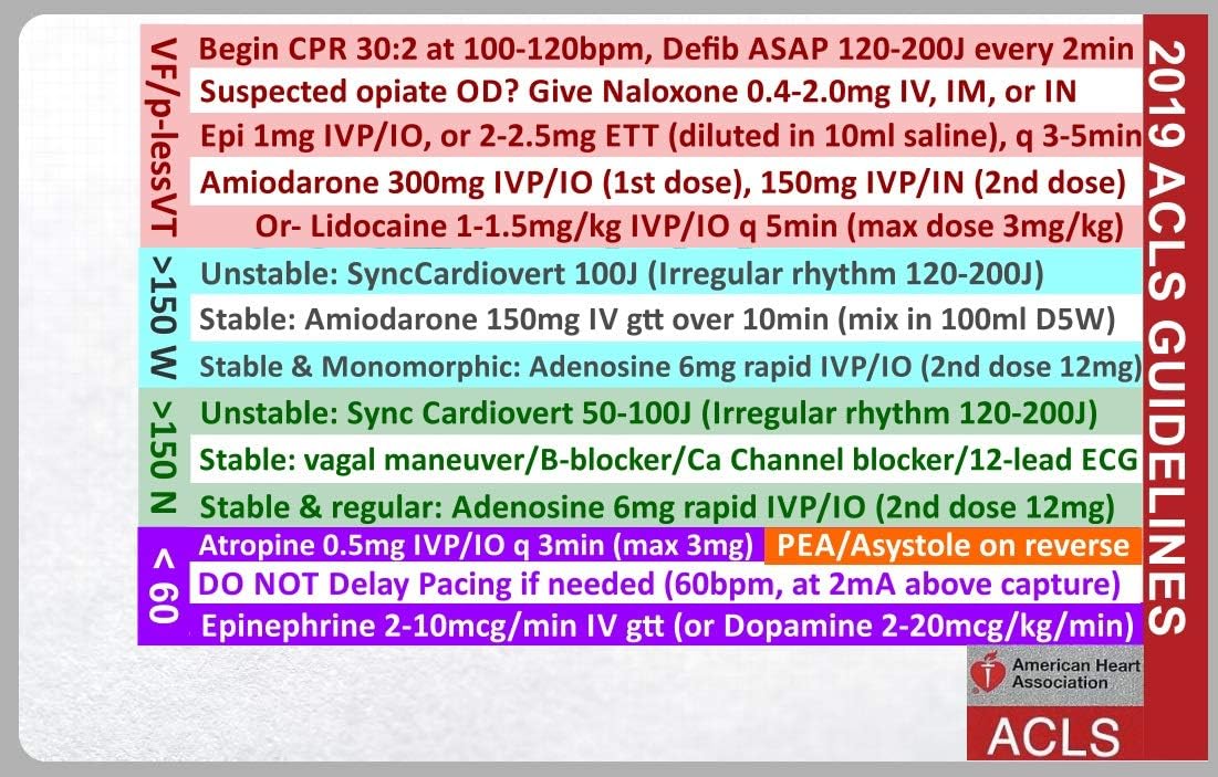 Amazon.com : Quick ACLS Card (2022 ACLS Guidelines) AHA ACLS Badge ...