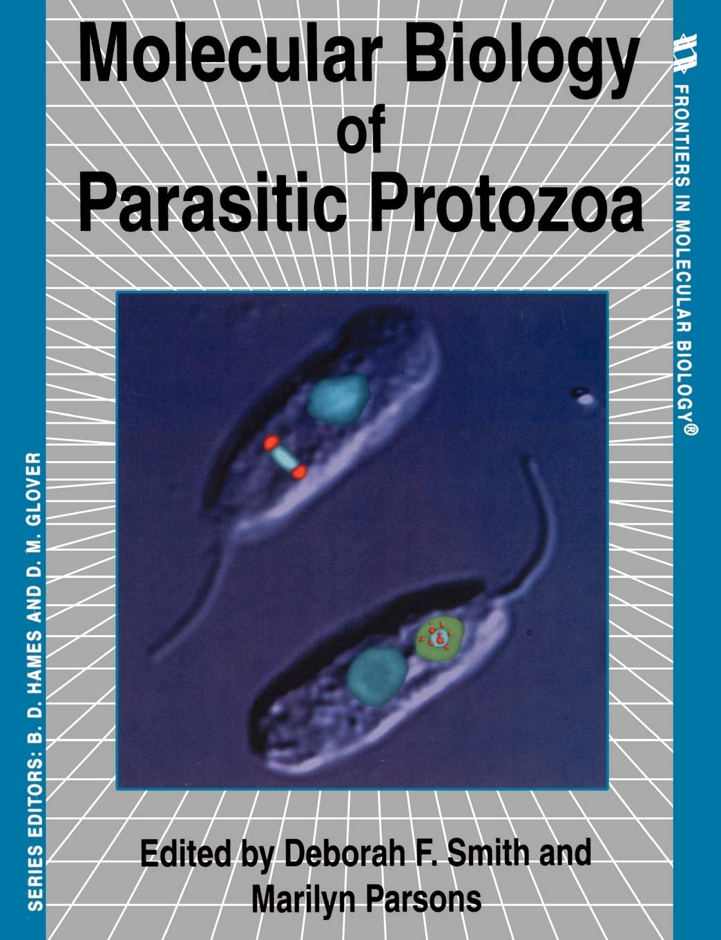 Molecular Biology of Parasitic Protozoa (Frontiers in Molecular Biology ...