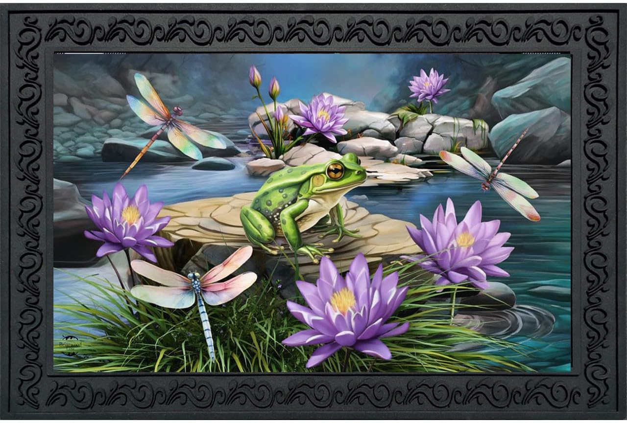 Amazon.com: Briarwood Lane Dragonflies and Frog Doormat : Patio, Lawn ...