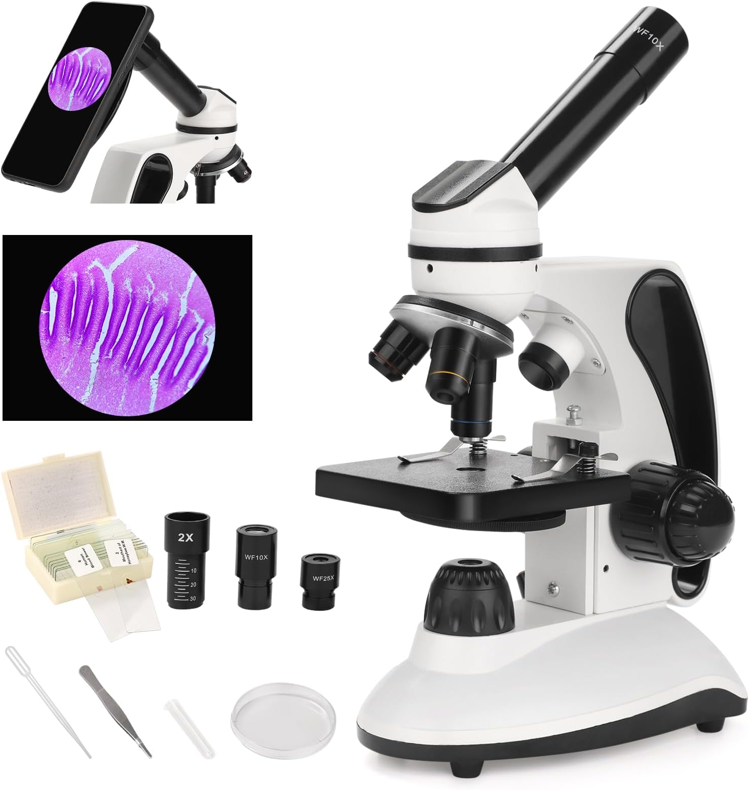 BEBANG 100X-2000X Microscope pour Enfants Adultes, Professionnel ...
